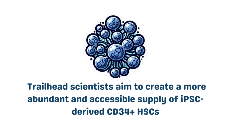 Everything you need to know about CD34 | Trailhead Biosystems