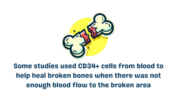 Everything you need to know about CD34 | Trailhead Biosystems