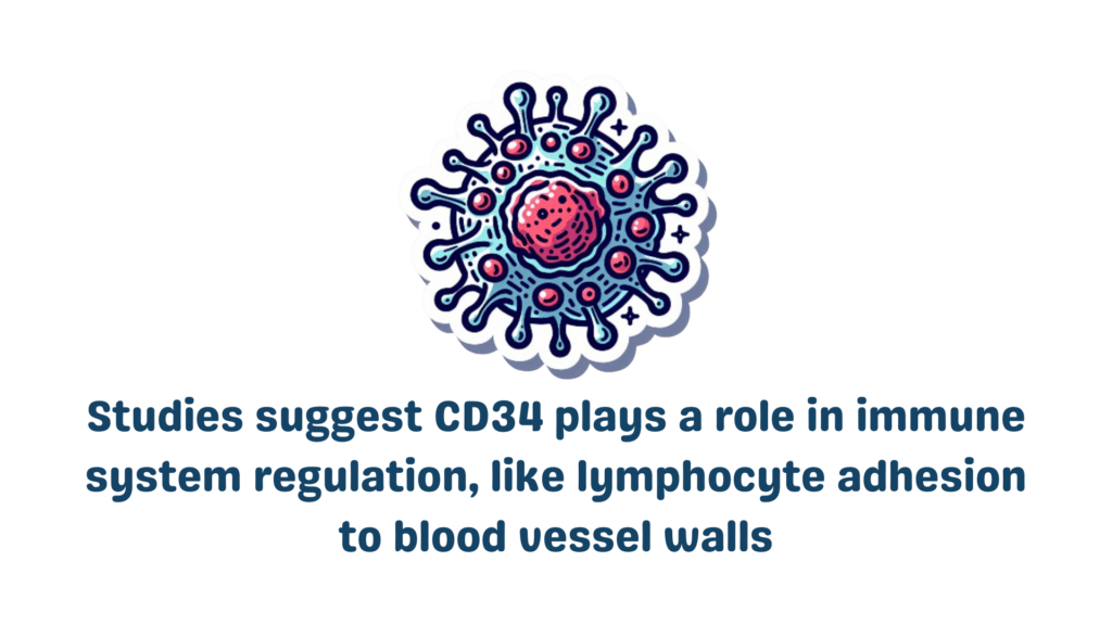 Everything you need to know about CD34 | Trailhead Biosystems