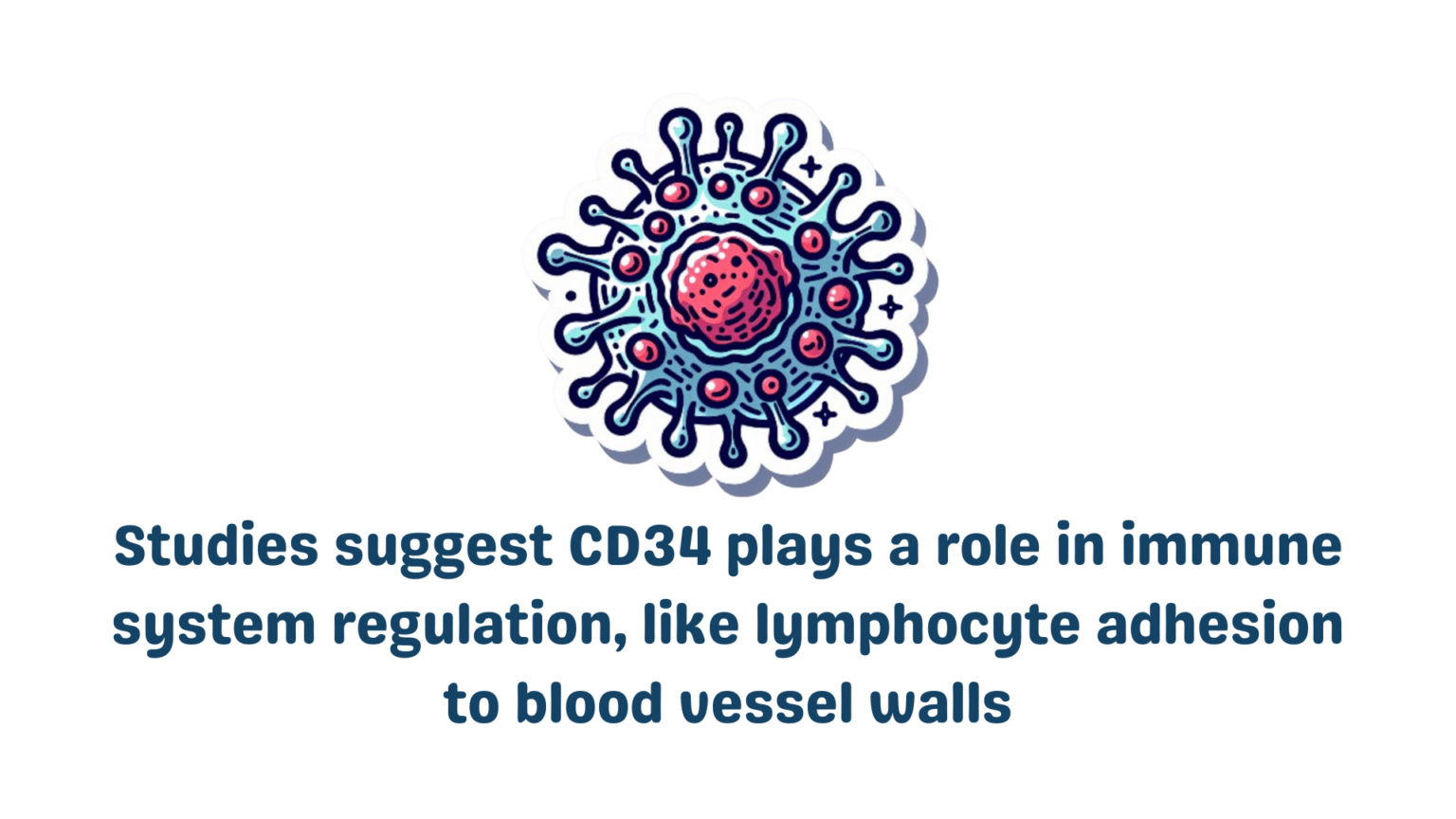 Everything you need to know about CD34 | Trailhead Biosystems