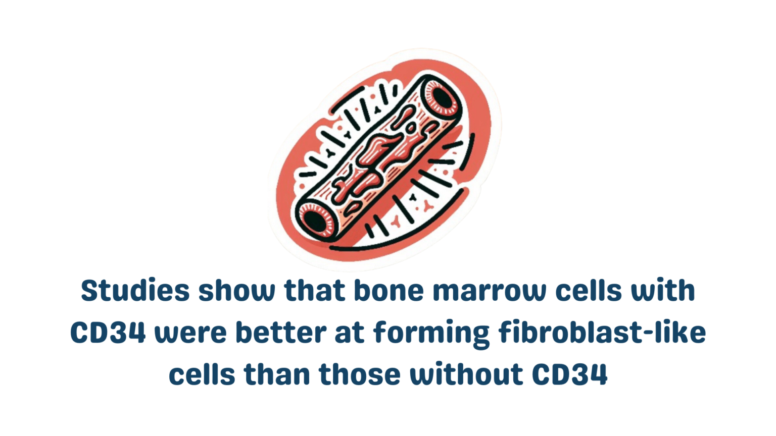 Everything you need to know about CD34 | Trailhead Biosystems